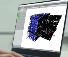 Avizo Software for biomaterials | Thermo Fisher Scientific - CN