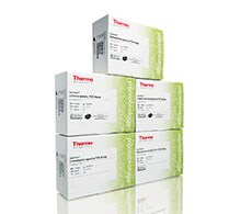 SureTect PCR 食品病原体检测 | Thermo Fisher Scientific - CN