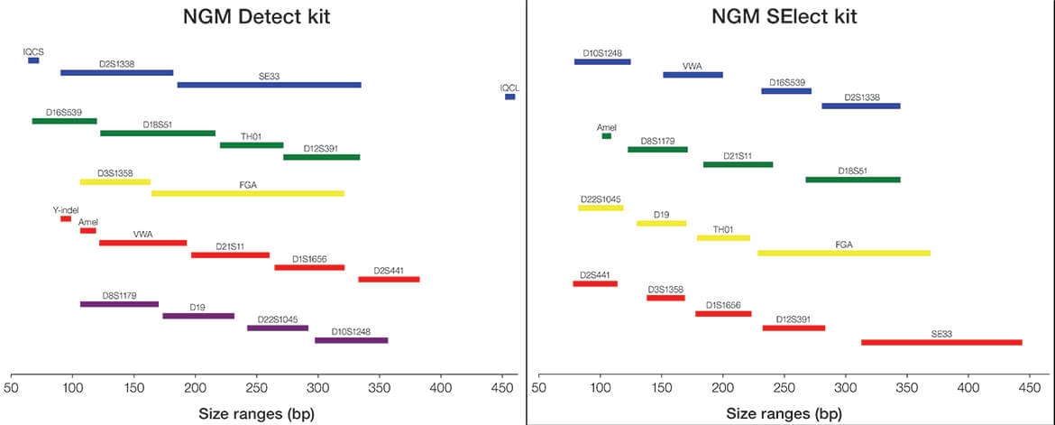 复杂检材的法医学 DNA 分析 | Thermo Fisher Scientific - CN
