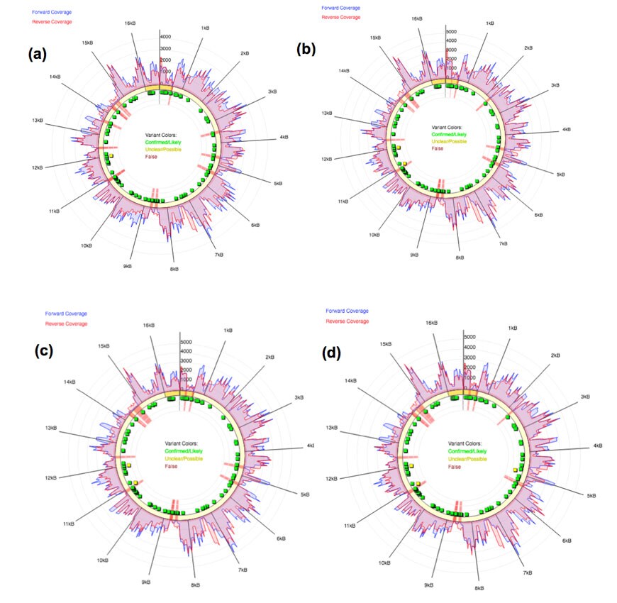Precision ID Panels | Thermo Fisher Scientific - CN