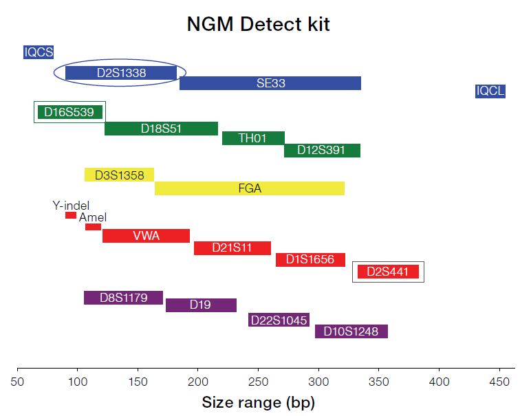 NGM PCR Amplification Kits | Thermo Fisher Scientific - CN