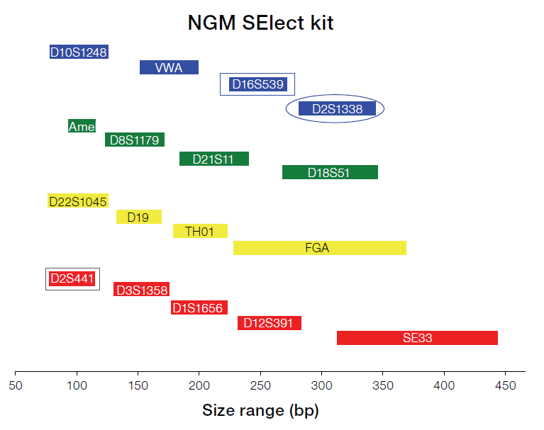 NGM PCR Amplification Kits | Thermo Fisher Scientific - CN