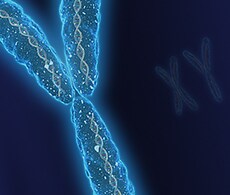 Y-STR 分析 | Thermo Fisher Scientific - CN