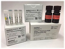 YFiler Platinum PCR扩增试剂盒 | Thermo Fisher Scientific - CN