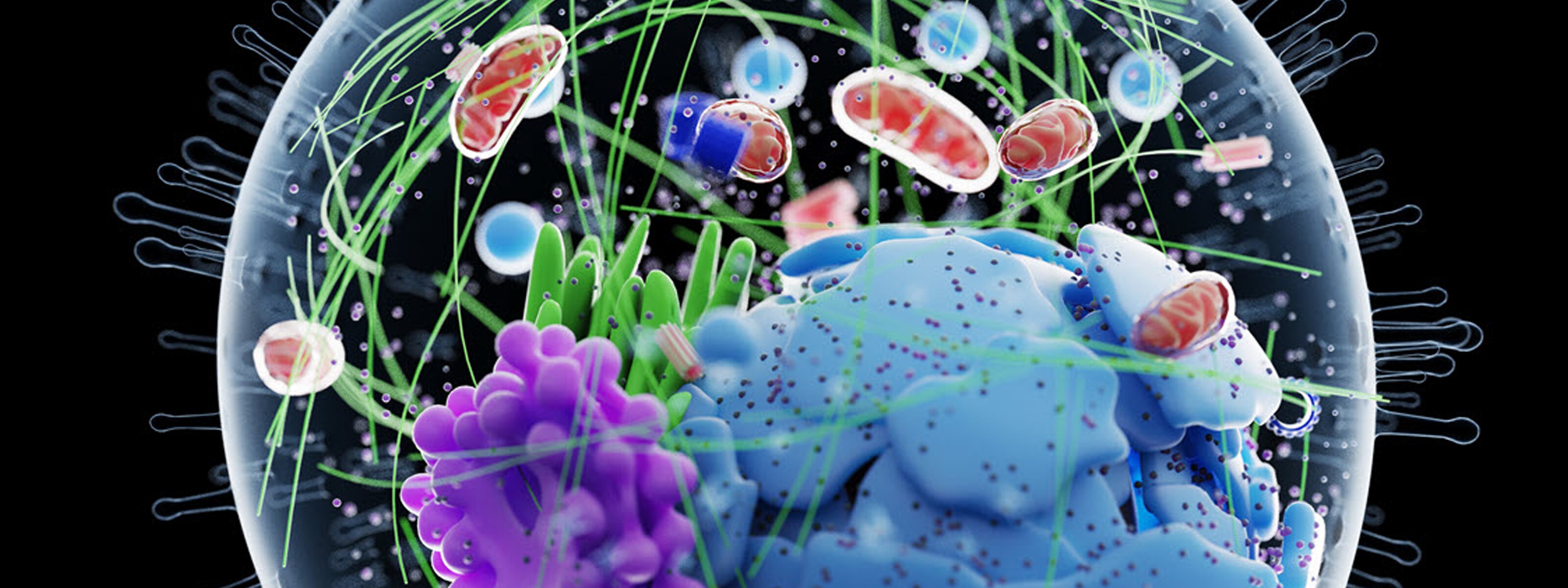 Orbitrap Astral Mass Spectrometer | Thermo Fisher Scientific - CN