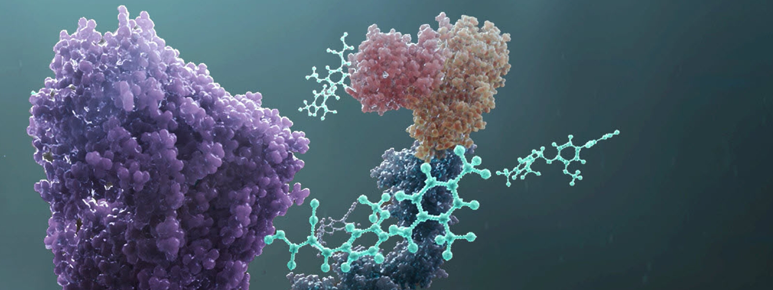 Orbitrap Astral Mass Spectrometer | Thermo Fisher Scientific - CN