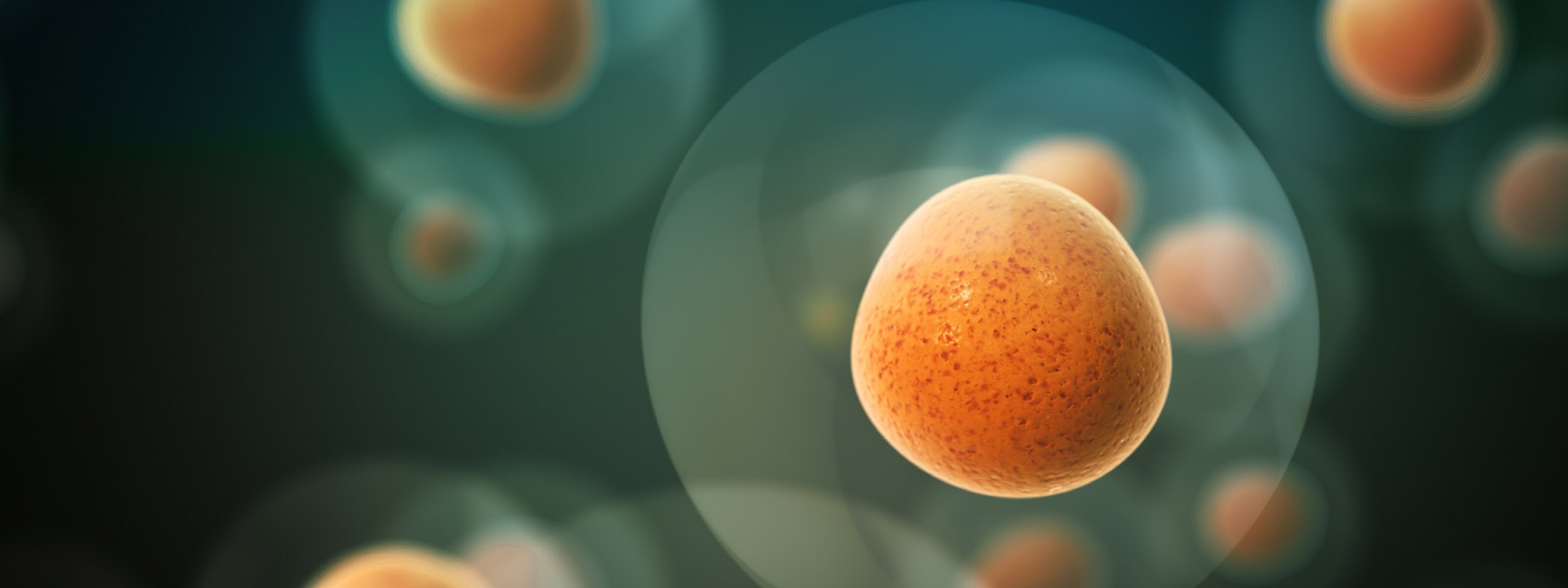 Orbitrap Astral Mass Spectrometer | Thermo Fisher Scientific - CN