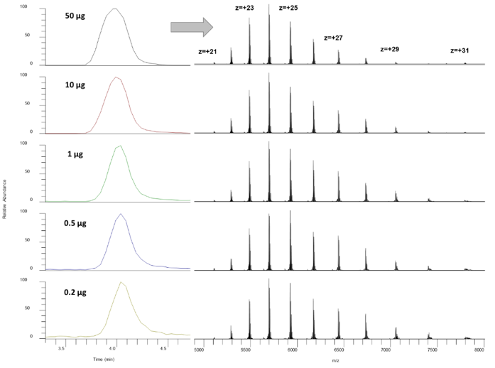 Orbitrap Exploris 240 Mass Spectrometer | Thermo Fisher Scientific - CN