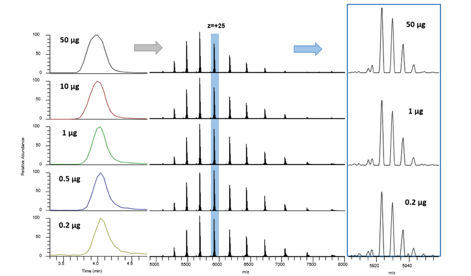 Orbitrap Exploris 240 Mass Spectrometer | Thermo Fisher Scientific - CN
