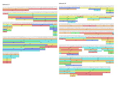 Orbitrap Exploris 240 Mass Spectrometer | Thermo Fisher Scientific - CN
