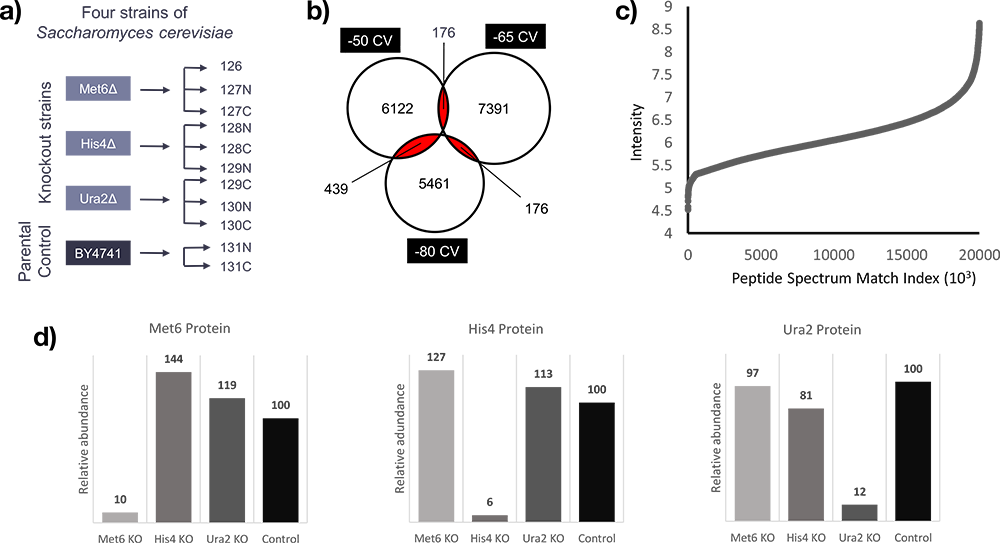 Orbitrap Exploris 240 Mass Spectrometer | Thermo Fisher Scientific - CN