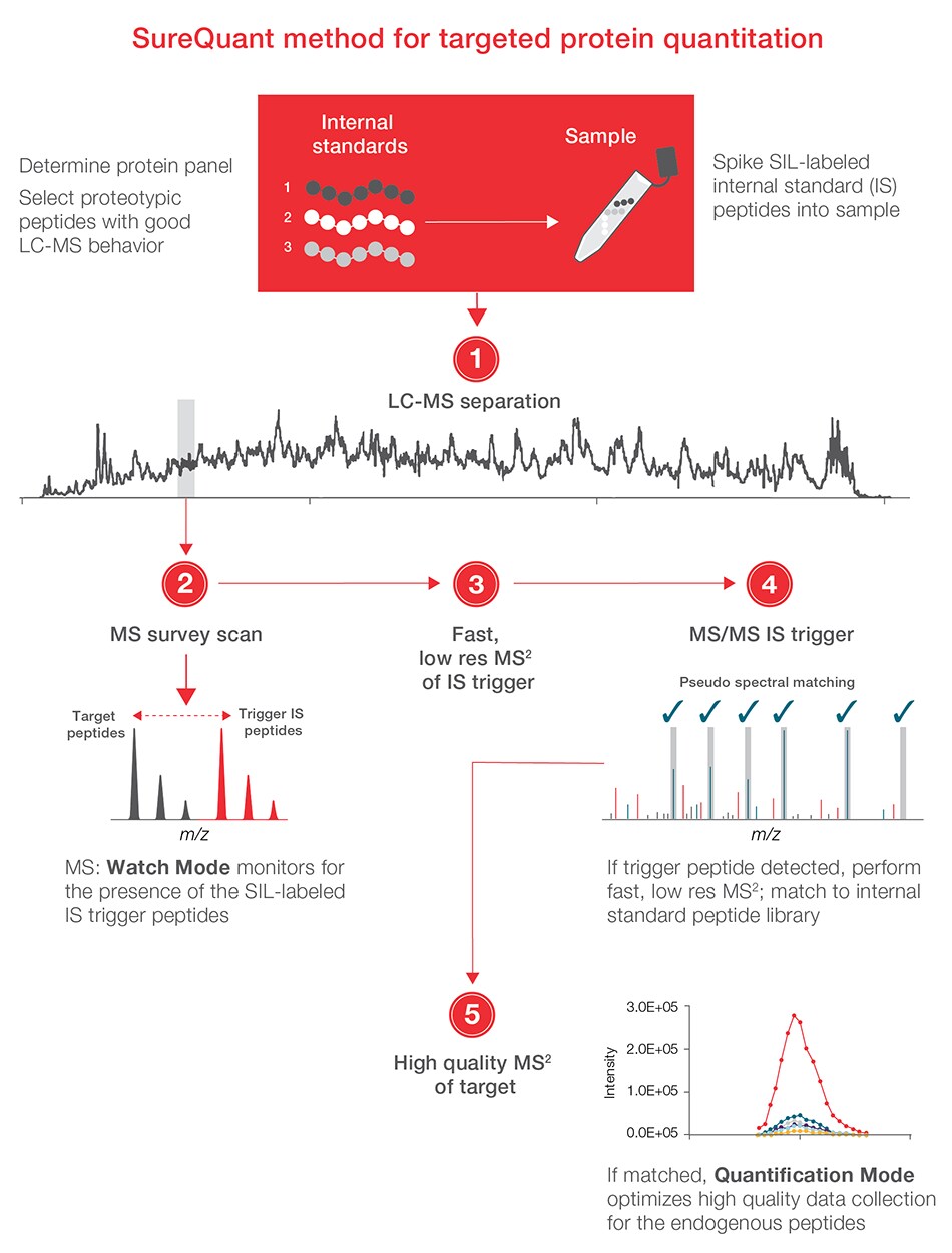 Orbitrap Exploris 480 Mass Spectrometers | Thermo Fisher Scientific - CN