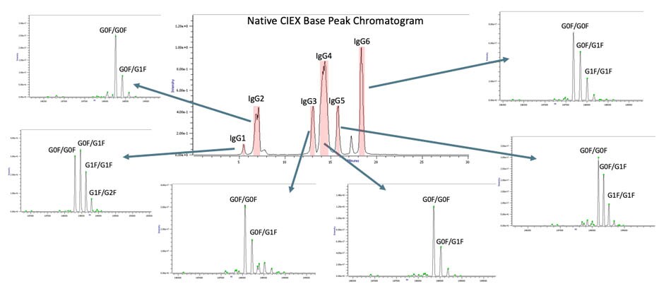Orbitrap Exploris 480 Mass Spectrometers | Thermo Fisher Scientific - CN