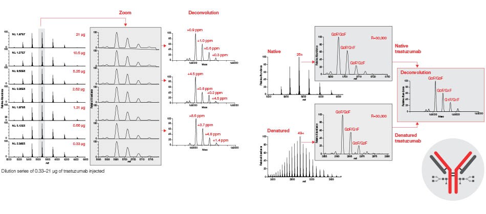 Orbitrap Exploris 480 Mass Spectrometers | Thermo Fisher Scientific - CN