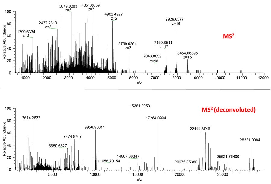 Q Exactive UHMR Hybrid Quadrupole-Orbitrap质谱仪系统 | Thermo Fisher ...