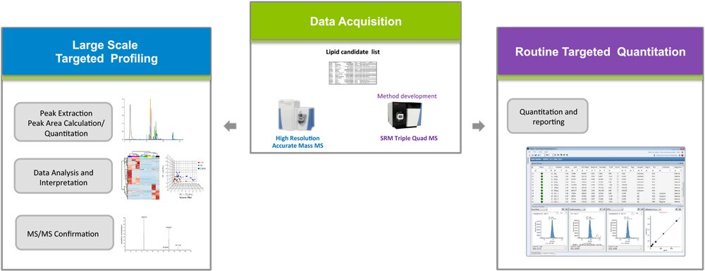 Lipidomics Workflows | Thermo Fisher Scientific - CN