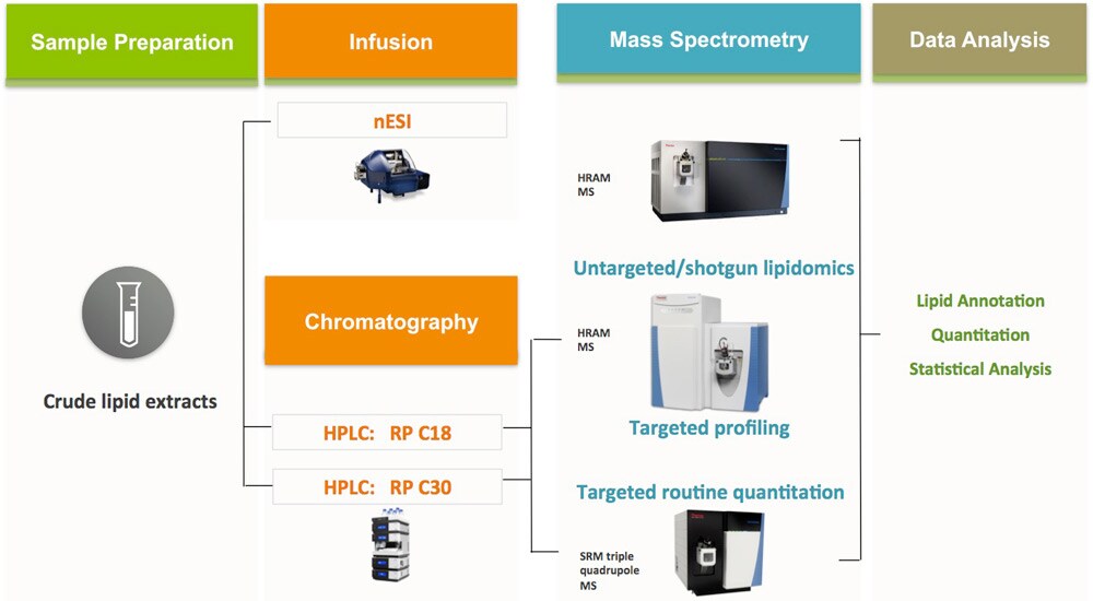 Lipidomics Workflows | Thermo Fisher Scientific - CN