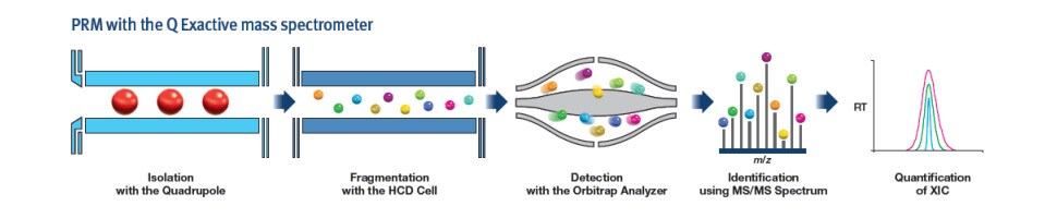 Lipidomics Workflows | Thermo Fisher Scientific - CN