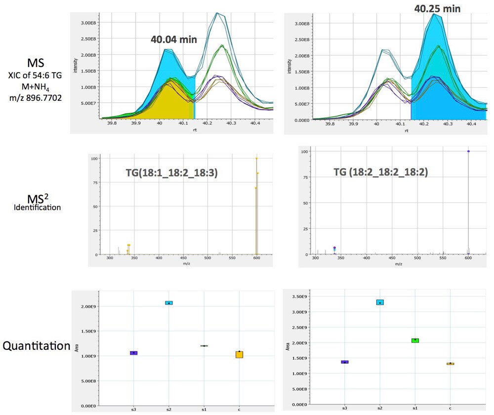 Lipidomics Workflows | Thermo Fisher Scientific - CN