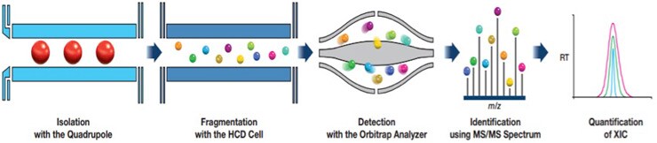 Lipidomics Workflows | Thermo Fisher Scientific - CN