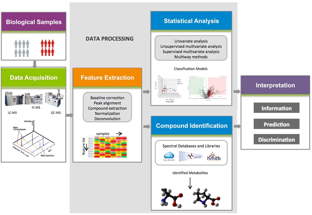 Metabolomics Data Analysis | Thermo Fisher Scientific - CN