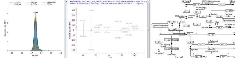 Metabolomics Data Analysis | Thermo Fisher Scientific - CN