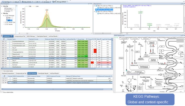 Untargeted Metabolomics Workflows | Thermo Fisher Scientific - CN