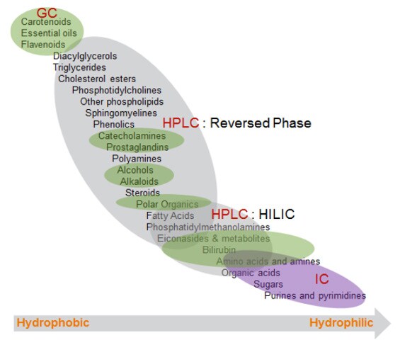 Practical Guide to Metabolomics | Thermo Fisher Scientific - CN