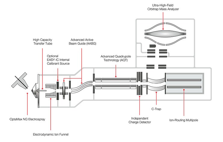 Dissociation Technique Technology Overview | Thermo Fisher Scientific - CN