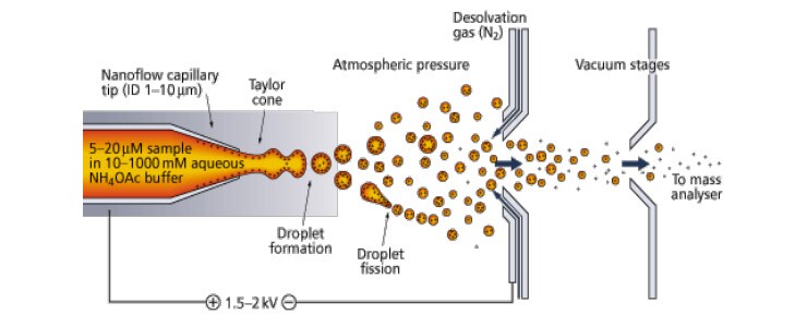 Ionization Source Technology Overview | Thermo Fisher Scientific - CN