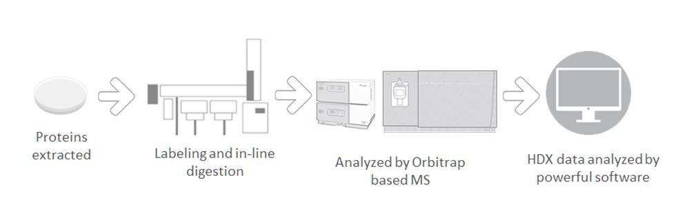 氢氘交换 (HDX) 质谱法 | Thermo Fisher Scientific - CN