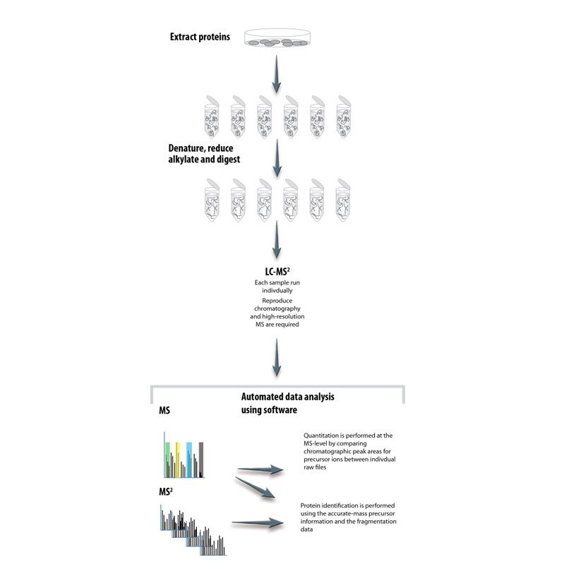 Label-Free Quantitation | Thermo Fisher Scientific - CN