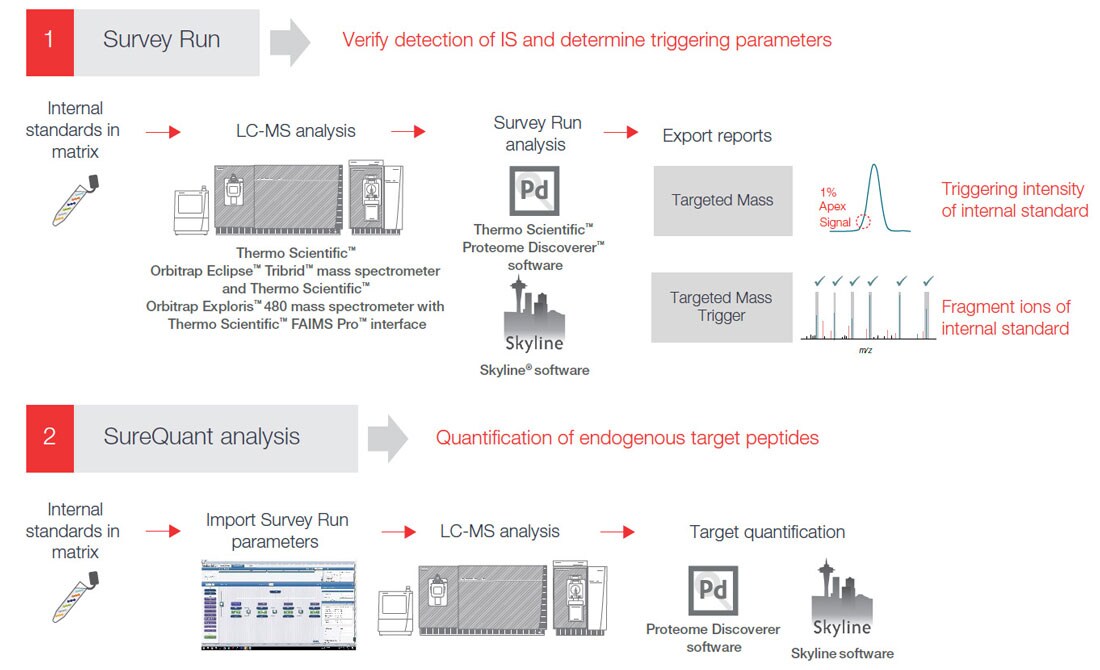 SureQuant Targeted Quantitation | Thermo Fisher Scientific - CN
