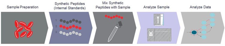 SureQuant Targeted Quantitation | Thermo Fisher Scientific - CN