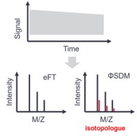 TMT Quantitation | Thermo Fisher Scientific - CN
