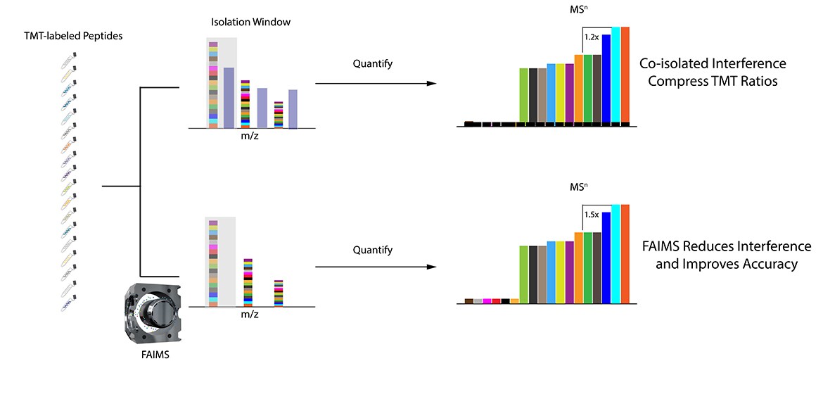 TMT Quantitation | Thermo Fisher Scientific - CN