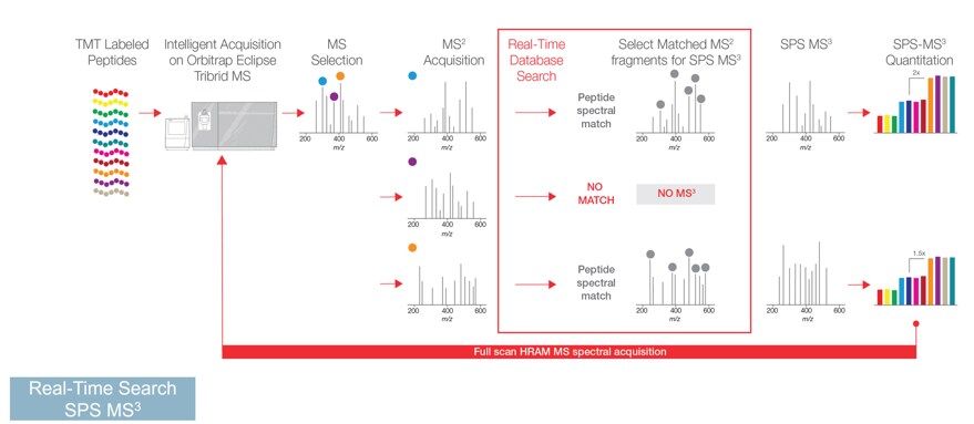 TMT Quantitation | Thermo Fisher Scientific - CN