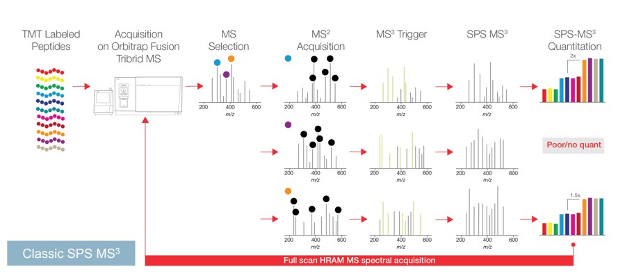 TMT Quantitation | Thermo Fisher Scientific - CN