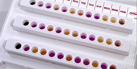 Biochemical ID Panels | Thermo Fisher Scientific - CN