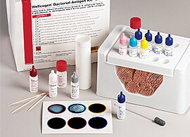 Latex Agglutination Testing | Thermo Fisher Scientific - CN