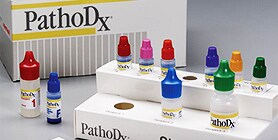 Latex Agglutination Testing | Thermo Fisher Scientific - CN