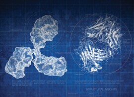 Intact Mass Analysis | Thermo Fisher Scientific - CN