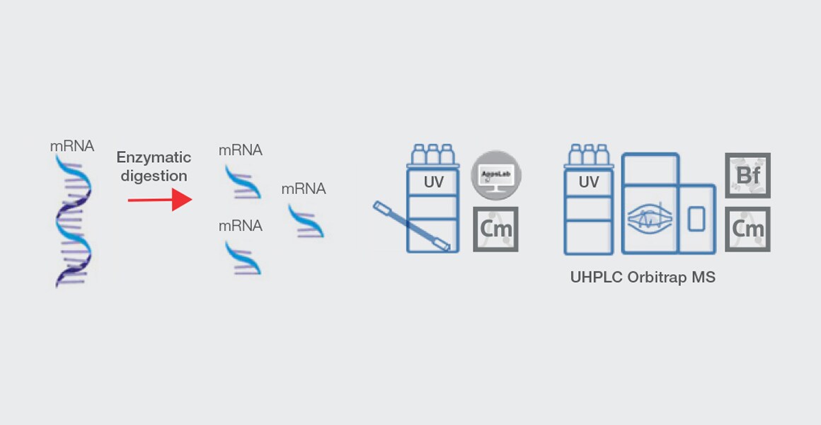 mRNA Vaccine Analysis | Thermo Fisher Scientific - CN
