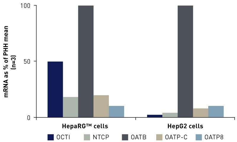 HepaRG™细胞-原代肝细胞替代模型-赛默飞 | Thermo Fisher Scientific - CN