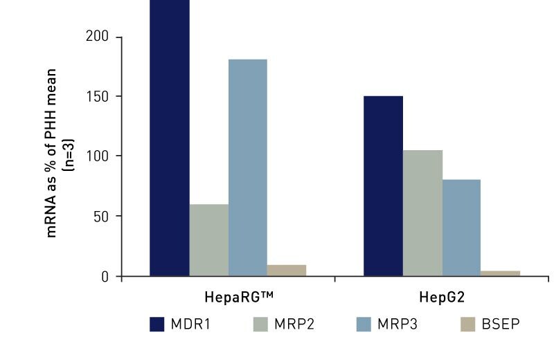 HepaRG™细胞 | Thermo Fisher Scientific - CN