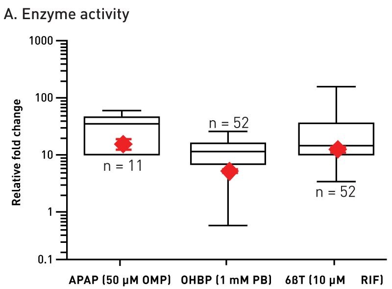 HepaRG™细胞 | Thermo Fisher Scientific - CN
