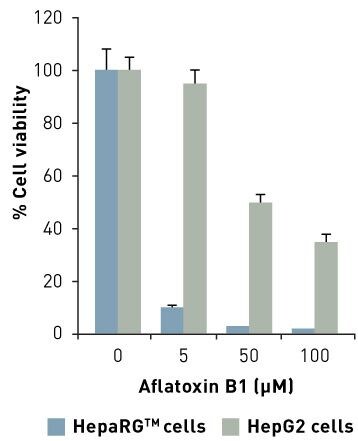 HepaRG™细胞-原代肝细胞替代模型-赛默飞 | Thermo Fisher Scientific - CN