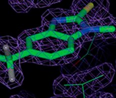 High-Throughput Screening (HTS) for Drug Discovery | Thermo Fisher ...
