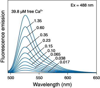 Fluo-3 Calcium Indicator | Thermo Fisher Scientific - CN