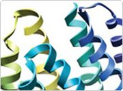 Tango GPCR Assay System | Thermo Fisher Scientific - CN